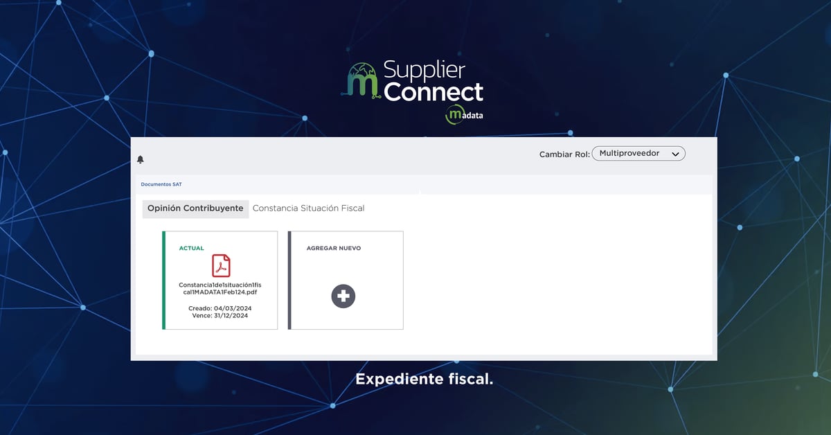 Supplier Connect: Portal de Proveedores